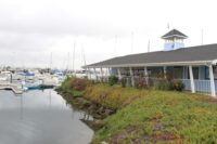 Boating and Event Gallery: LA's Scenic Marina Views
