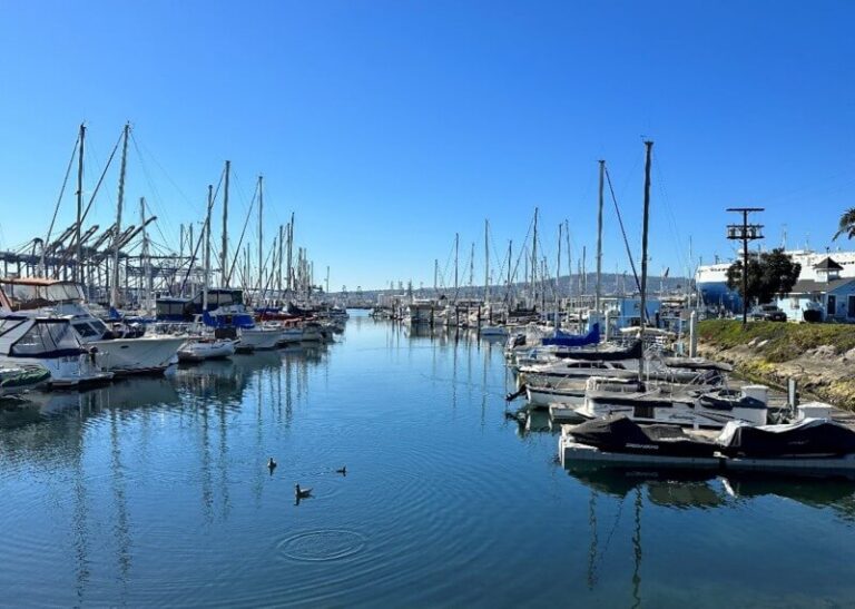 Beginners' Guide to Navigating LA & King Harbors